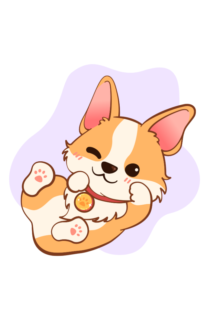 2025 Corgi Litter | Ranchhand Corgis North Missouri